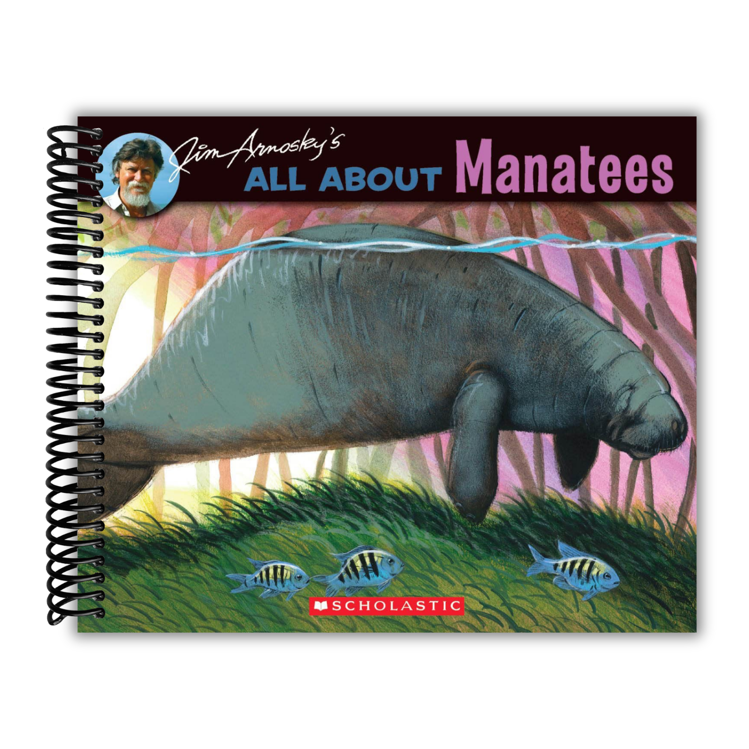 All About Manatees – Lay it Flat Publishing Group