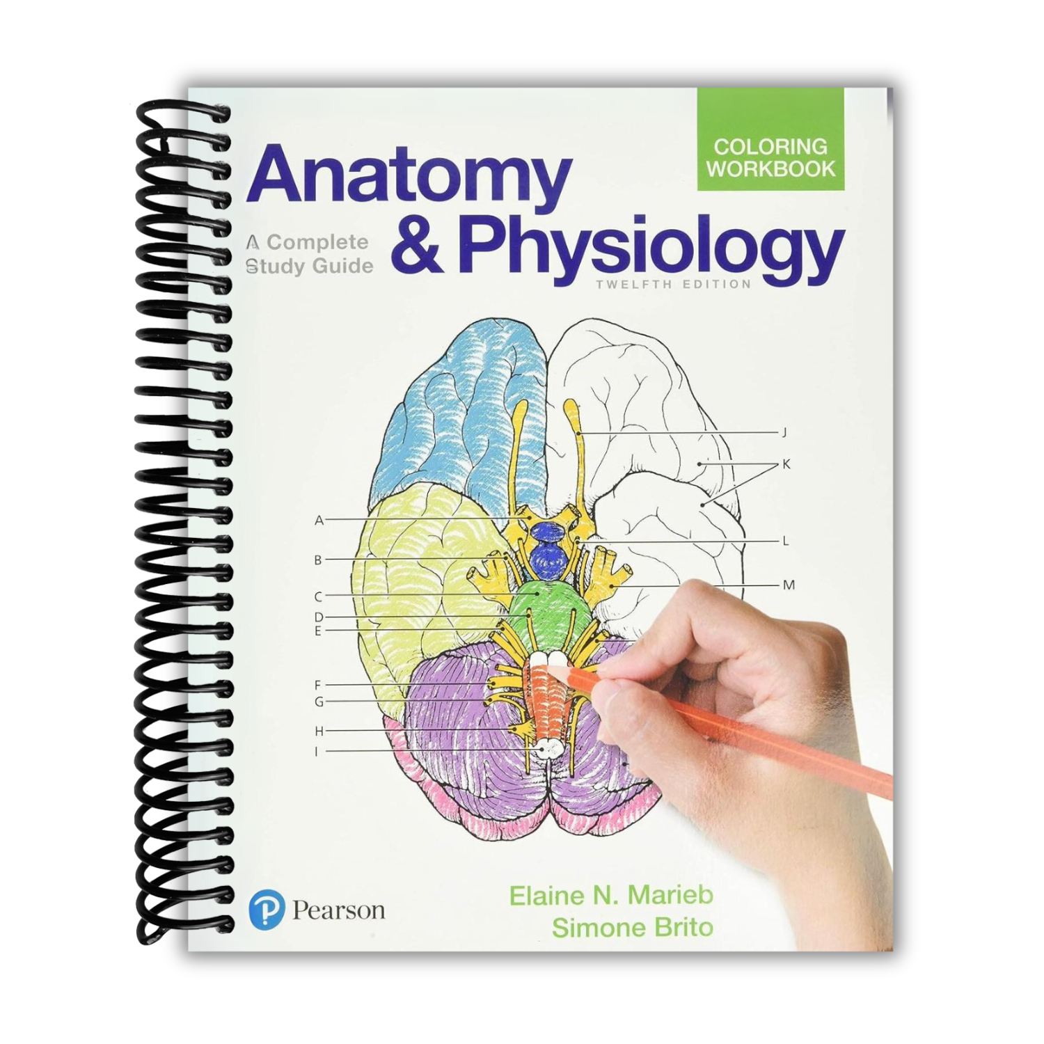 Anatomy and Physiology Coloring Workbook: A Complete Study Guide (Spir ...