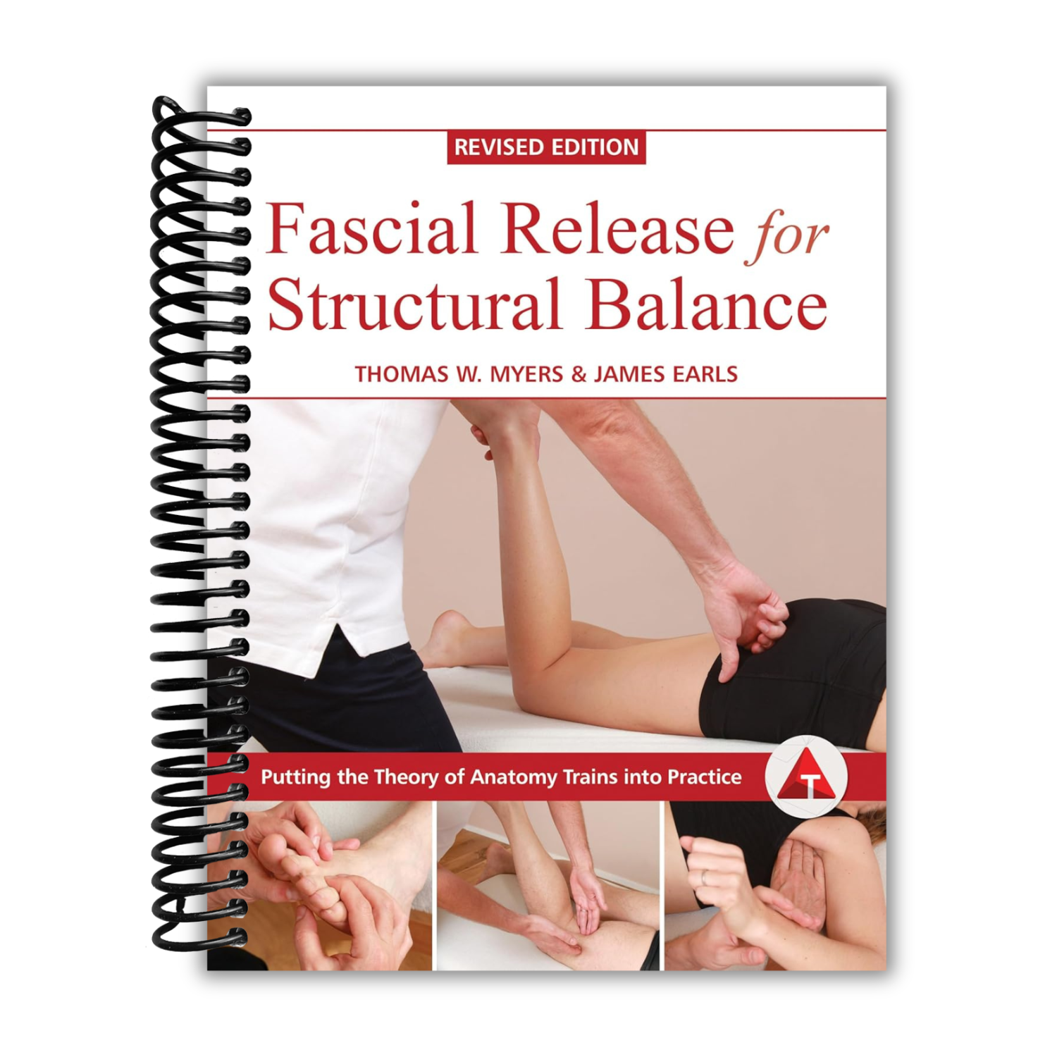 Fascial Release for Structural Balance, Revised Edition: Putting the T – Lay it Flat Publishing ...