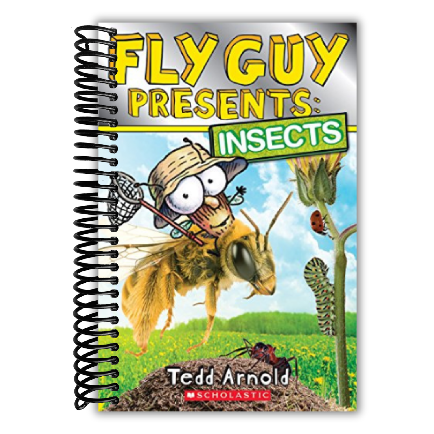 Fly Guy Presents: Insects (Scholastic Reader, Level 2) – Lay it Flat ...