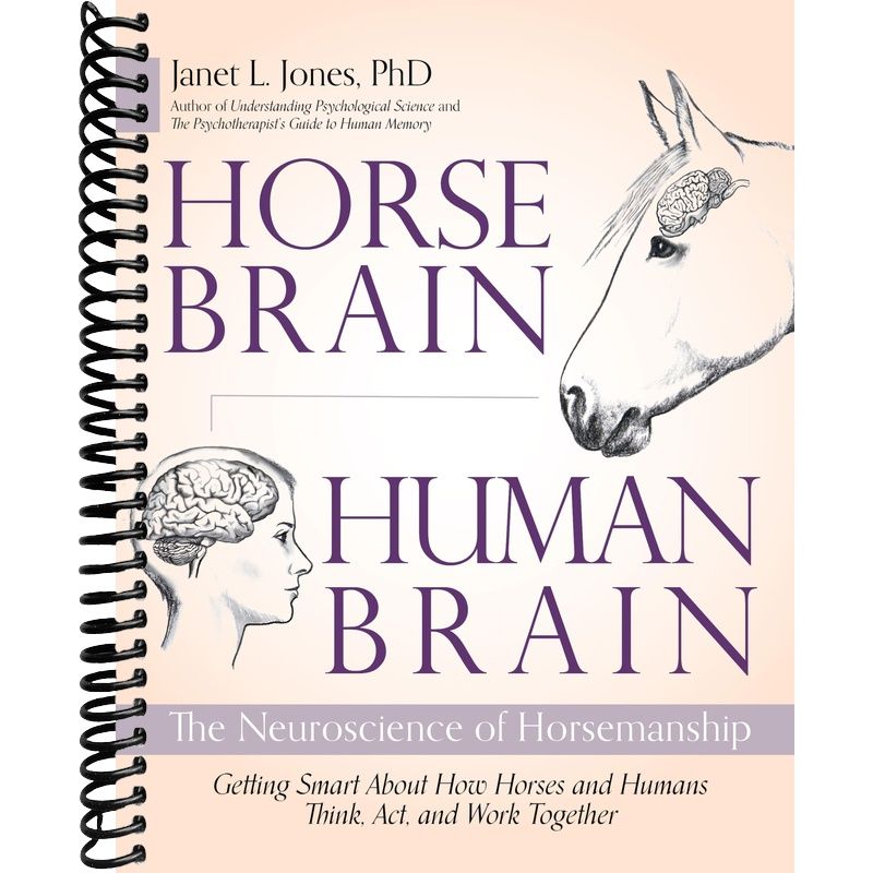 Horse Brain, Human Brain: The Neuroscience of Horsemanship – Lay it ...