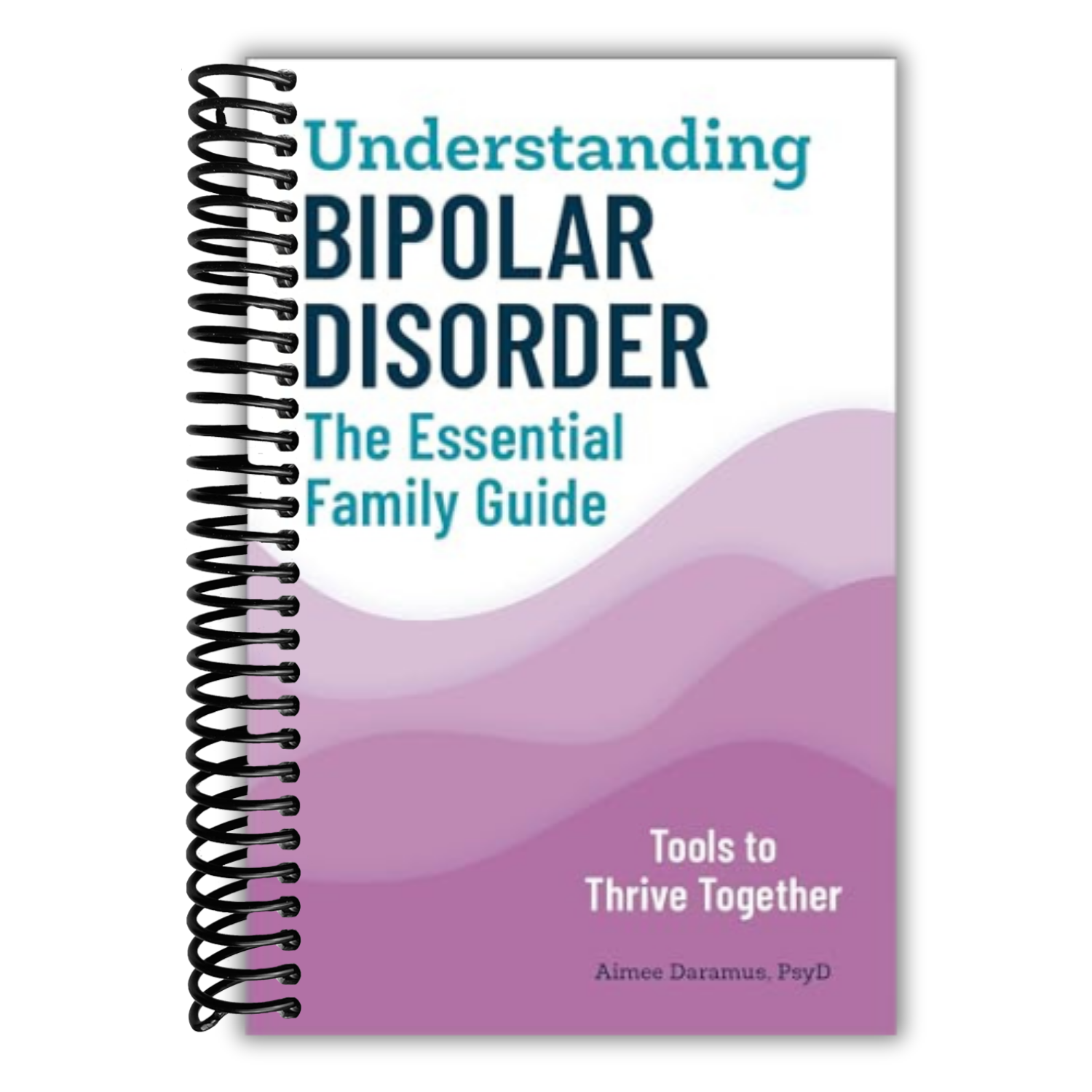 Understanding Bipolar Disorder: The Essential Family Guide – Lay it ...