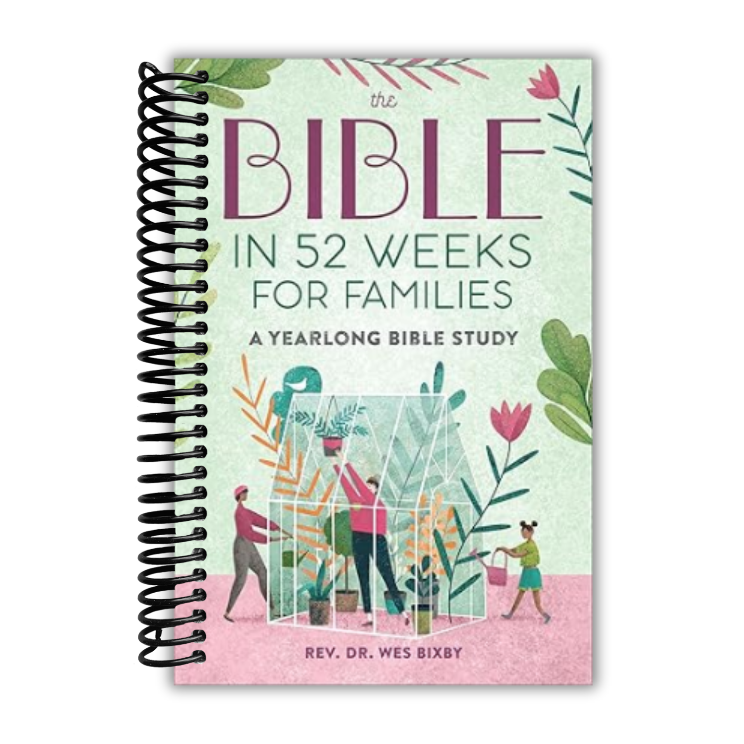 The Bible in 52 Weeks for Families: A Yearlong Bible Study – Lay it ...