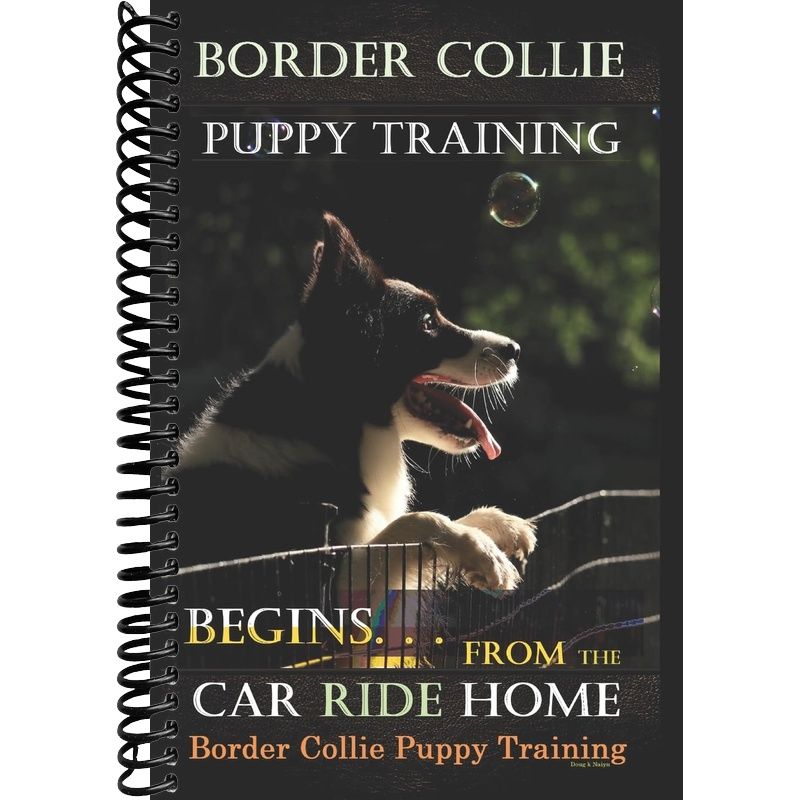 Border Collie Puppy Training Begins. . . From the Car Ride Home: Borde ...