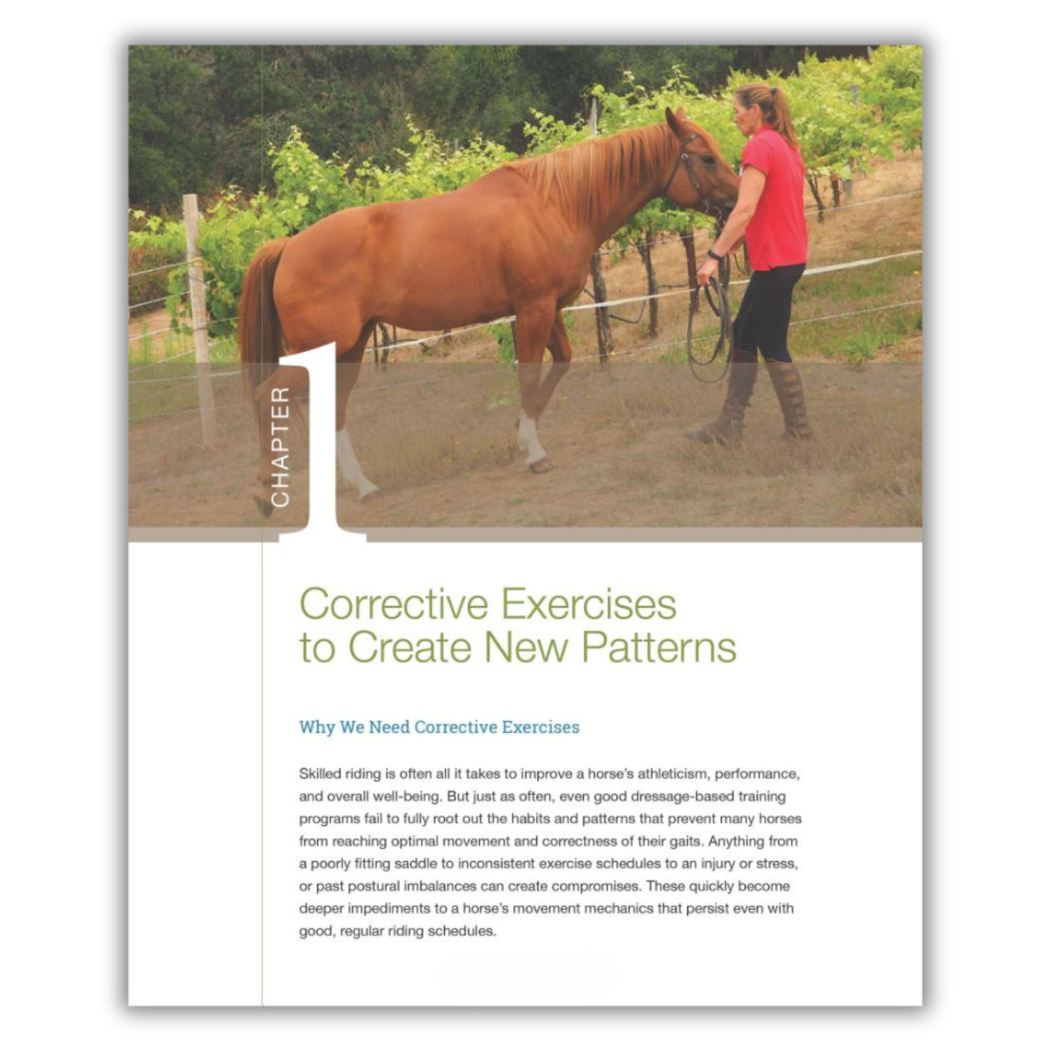 55 Corrective Exercises for Horses: Resolving Postural Problems, Impro ...