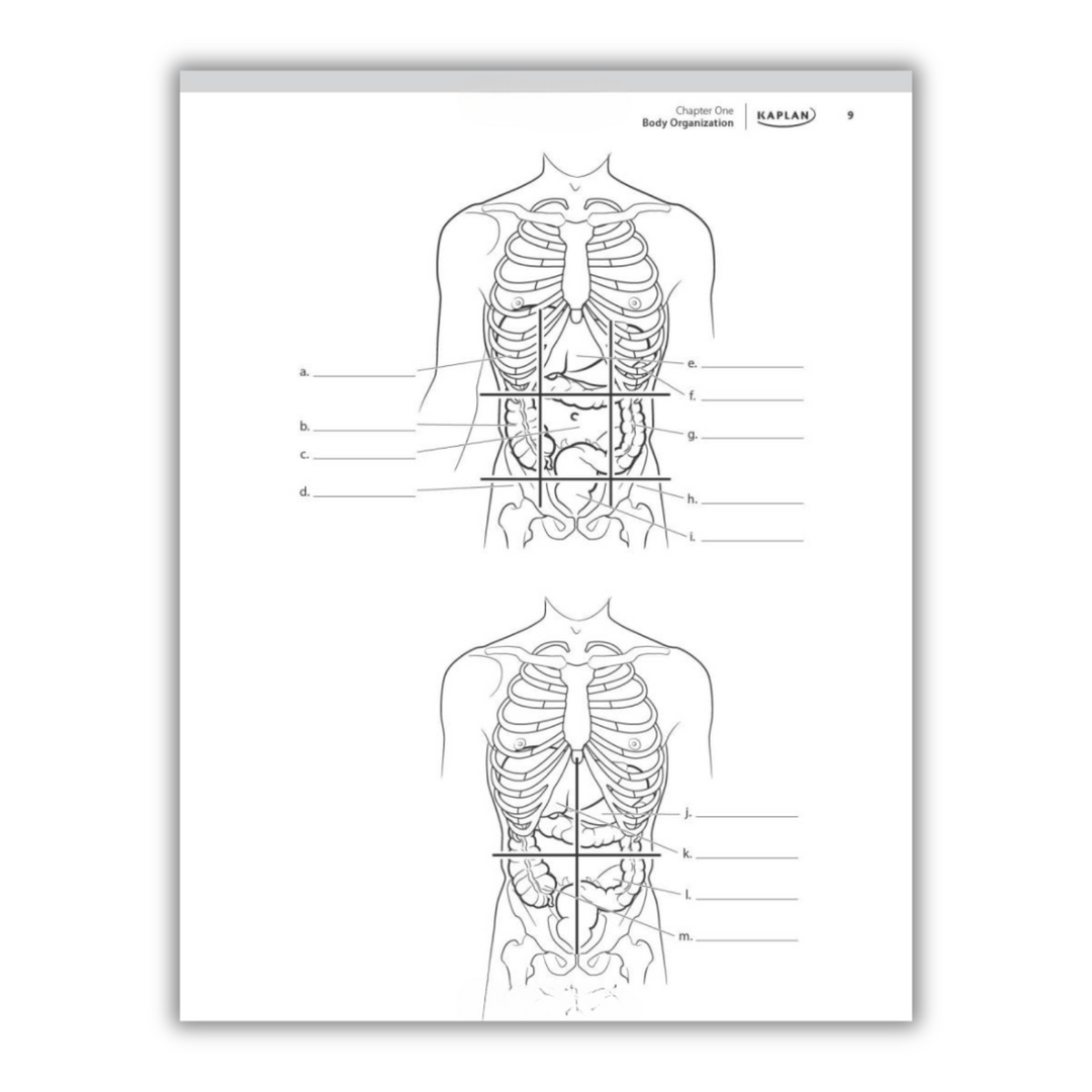 anatomy coloring book pages