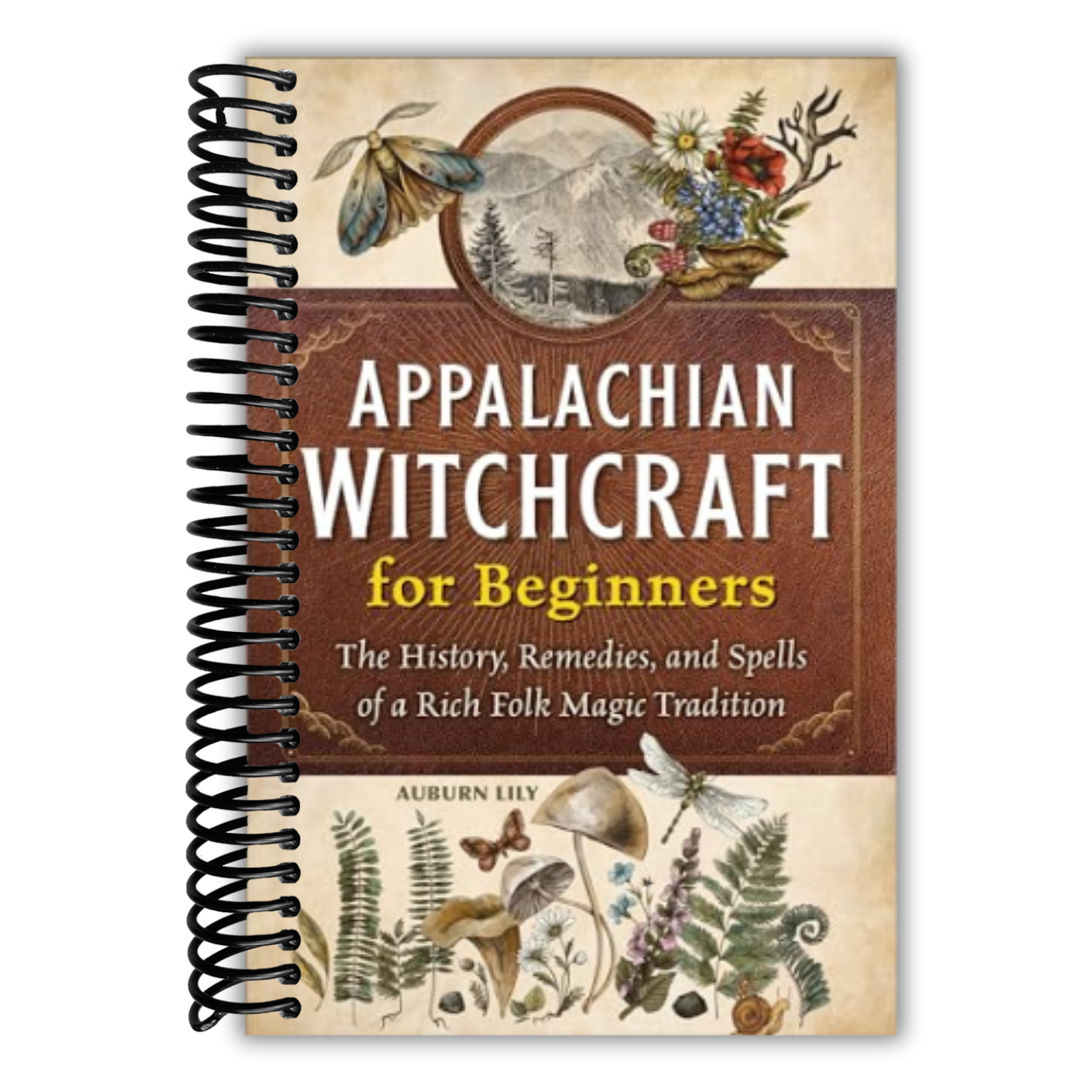Appalachian Witchcraft for Beginners: The History, Remedies, and Spell ...