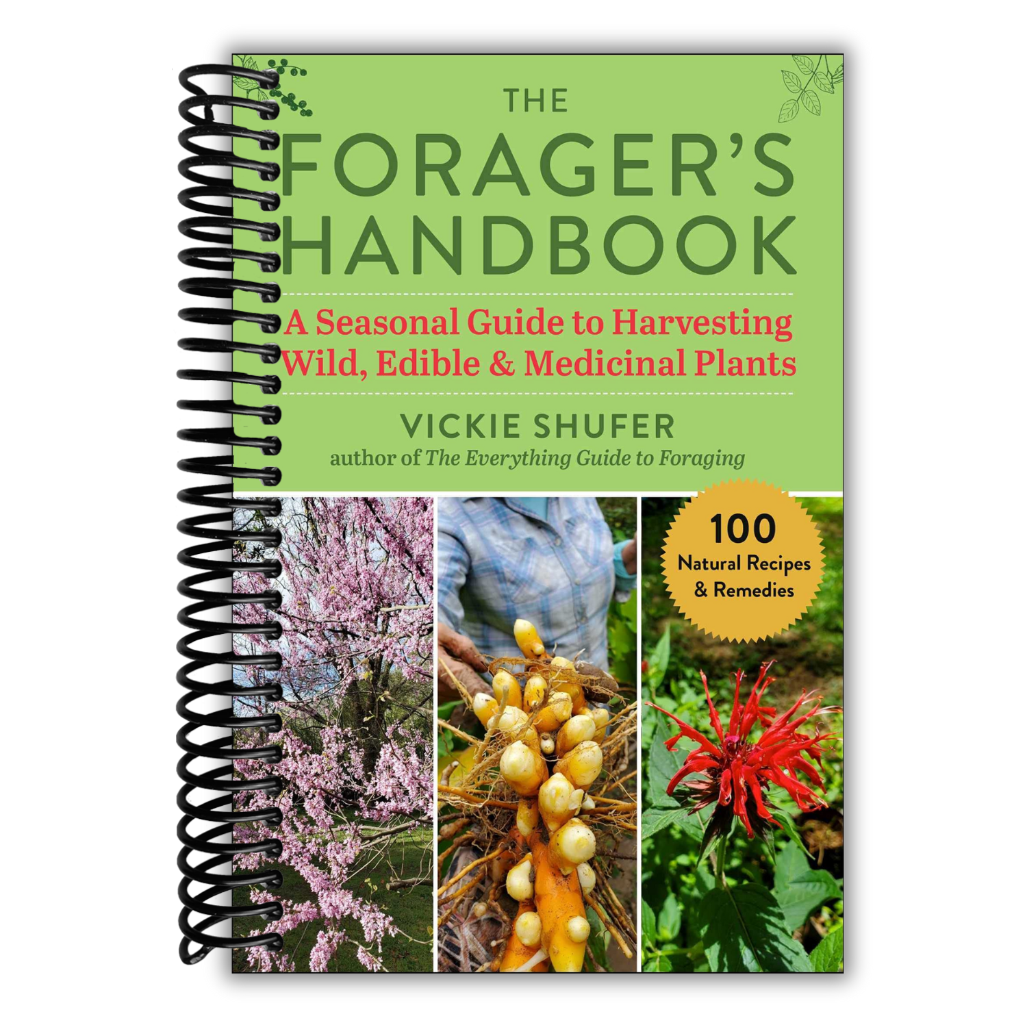 Forager's Handbook: A Seasonal Guide to Harvesting Wild, Edible & Medi ...