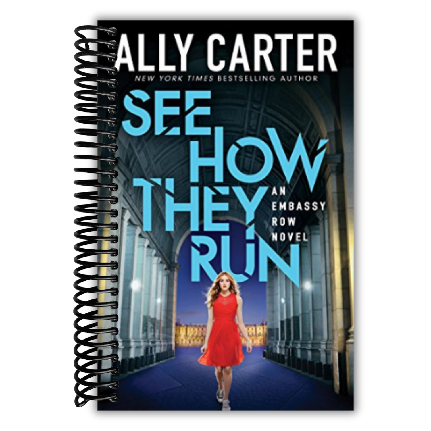 See How They Run (Embassy Row, Book 2) (2) – Lay it Flat Publishing Group