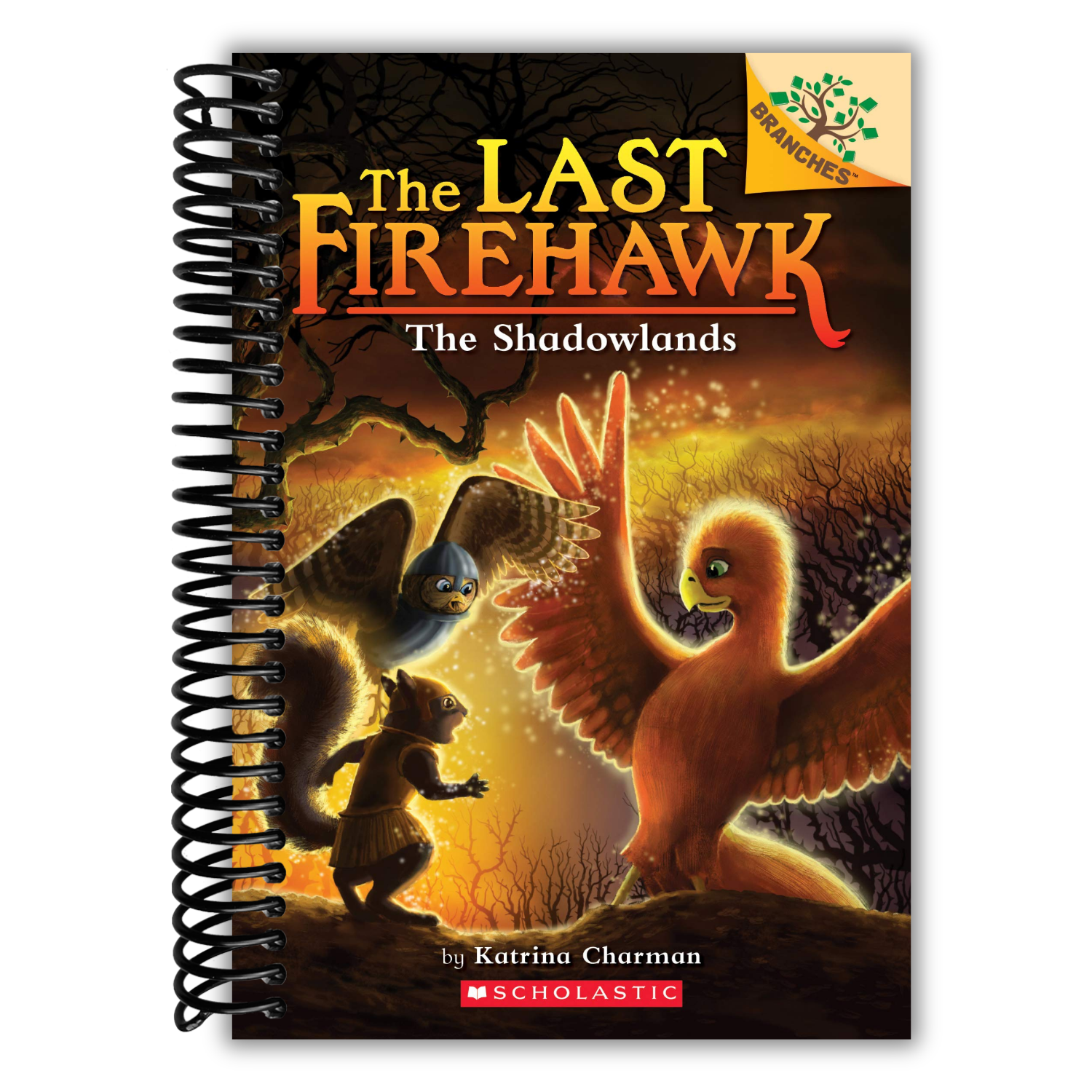 The Shadowlands: A Branches Book (The Last Firehawk #5) (5) – Lay it ...