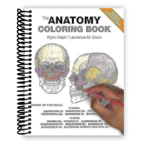 The Fun and Educational World of Anatomical Coloring Pages