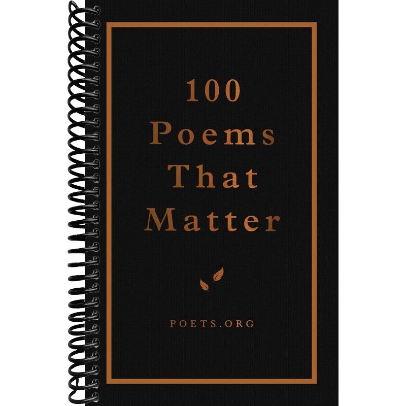 100 Poems That Matter – Lay it Flat Publishing Group