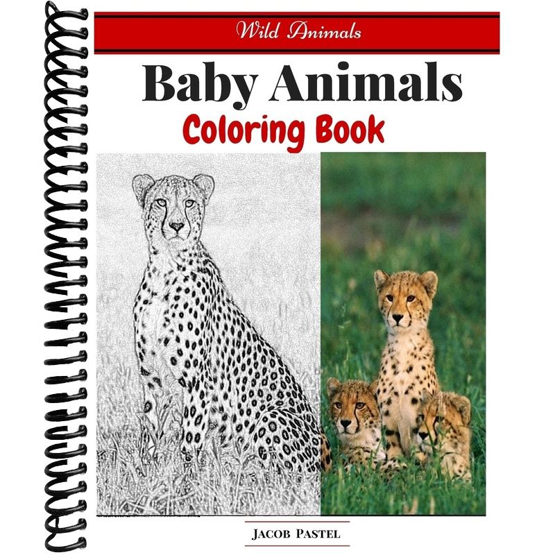 Baby Animals Coloring Book: Wild Animals Coloring Book ( Dover Colorin ...